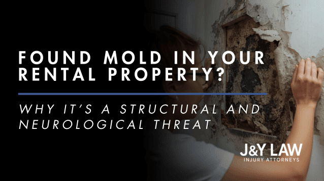 Mold in Rental Property: A Structural and Neurological Threat